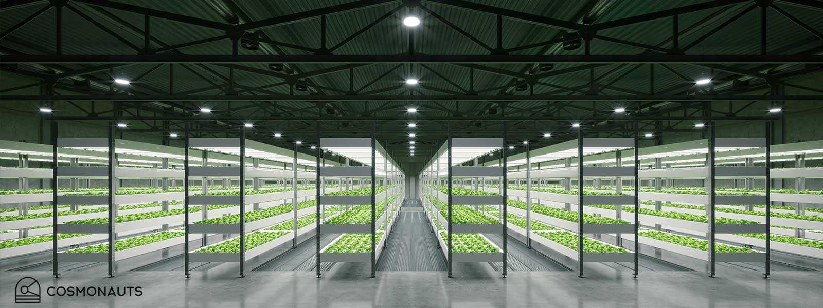 Explore the current Agri-Tech trends of Indoor Farming